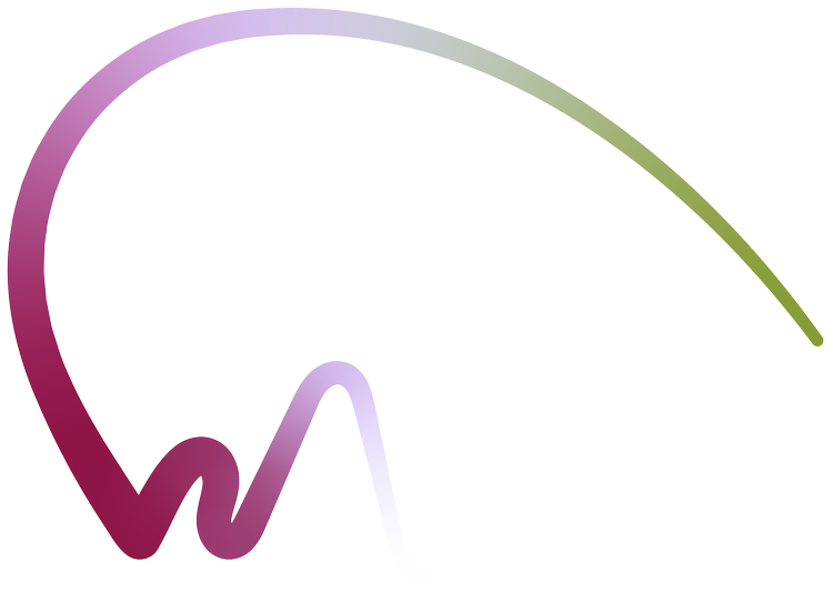 SAP Flow